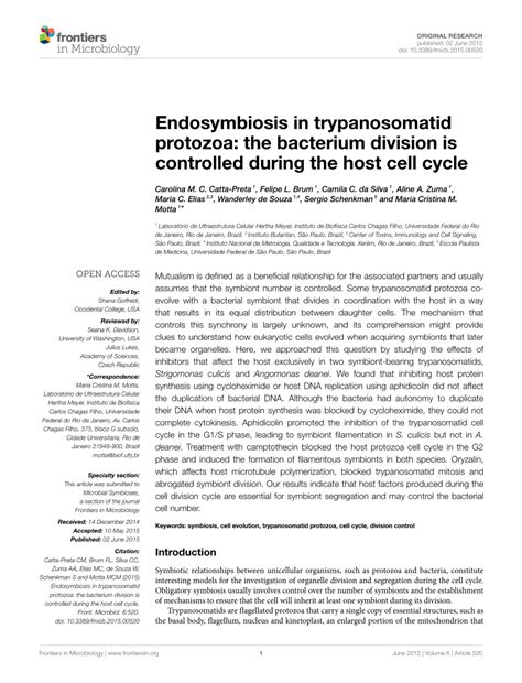 Pdf Endosymbiosis In Trypanosomatid Protozoa The Bacterium Division