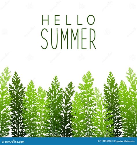 Green Grass Border On White Stock Vector Illustration Of Grunge Graphic 119255578