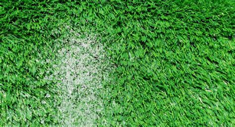 Textural Image Of The Artificial Grass Surface Stock Image Image Of Abstraction Lawn 336811679