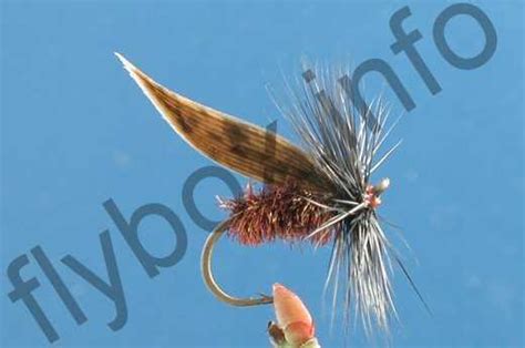 Alderfly Fly Pattern
