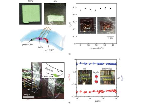 Flexible Opd Based Ppg Systems A Ultra Flexible Reflective Pulse
