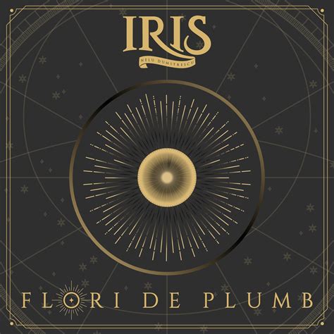 Iris Nelu Dumitrescu A Lansat Single Ul Flori De Plumb Bravonet