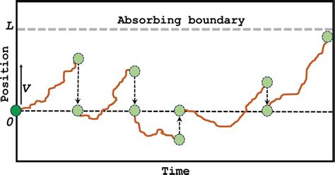 An Illustration Of Drift Diffusion Under Stochastic Restart Download Scientific Diagram