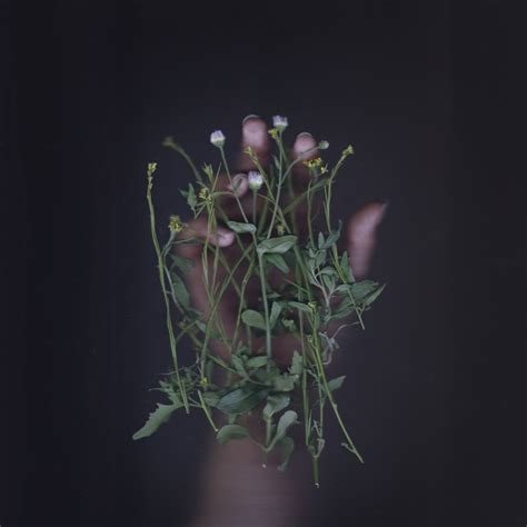 Va I Hate Sex Algae Bloom Black Knight Satellite Split 2016