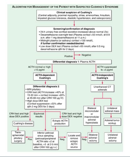 Cushings Dz Testing Dm Flashcards Quizlet