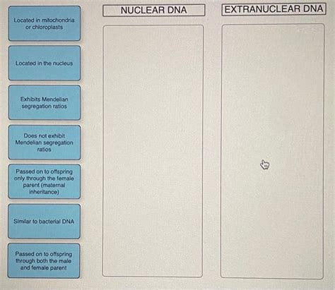 Solved NUCLEAR DNA EXTRANUCLEAR DNA Exhibits Mendelian Chegg