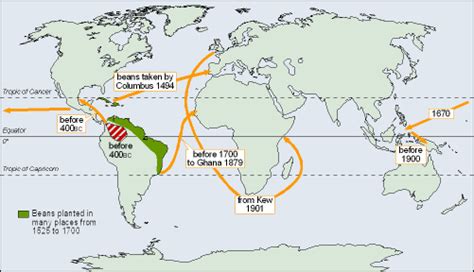 Cacao Seeds Of Trade