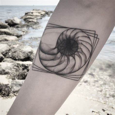 X Ray Nautilus Shell Tattoo Best Tattoo Ideas Gallery Tatuajes