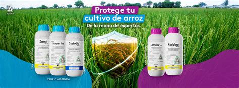 Duwest Drokasa Perú ¡ambientes Libres De Insectos🐜 Dk Metrin Es Un Insecticida Sintético Que