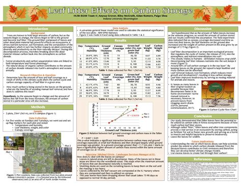 Using Undergrad Poster Sessions For Final Assignments Center For