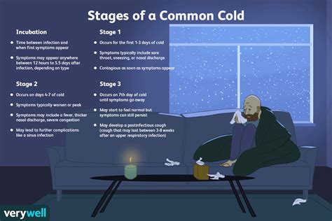 Common Cold Phases At Calvin Huey Blog