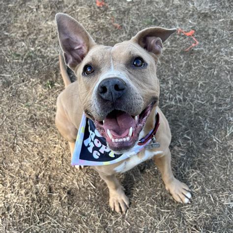 Meet Pinky Hits 96 Wdod Fm