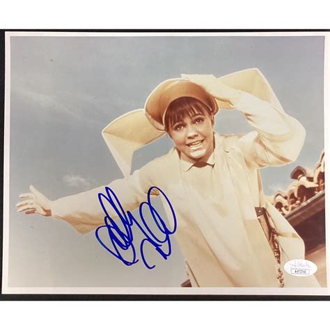 Sally Field Flying Nun