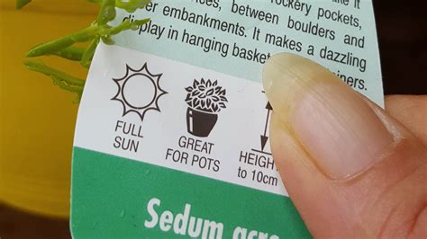 Diy Plant Markers How To Label Your Plants Effectively