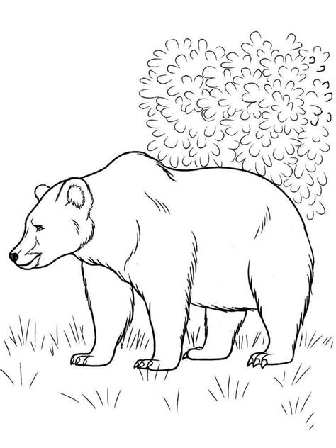 Ausmalbilder Waldtiere
