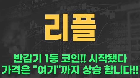 리플코인 리플코인리플코인전망리플코인분석리플코인목표가리플코인전망리플코인대응리플코인호재리플코인차트리플코인분석