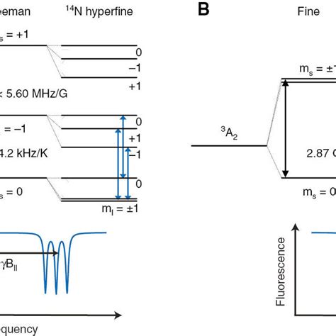 Quantum Diamond Microscope Qdm Examples With A Permanent Magnets