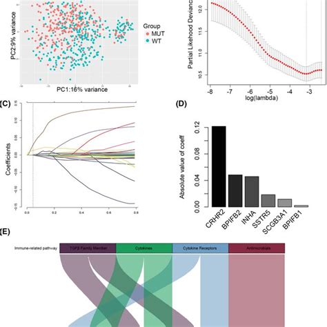 Identification Of Immune‐related Models Index Irm Index A Download Scientific Diagram