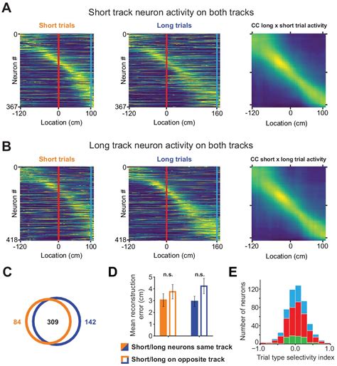 Figures And Data In Representation Of Visual Landmarks In Retrosplenial Cortex Elife