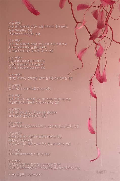 나는 배웠다 마야 안젤루