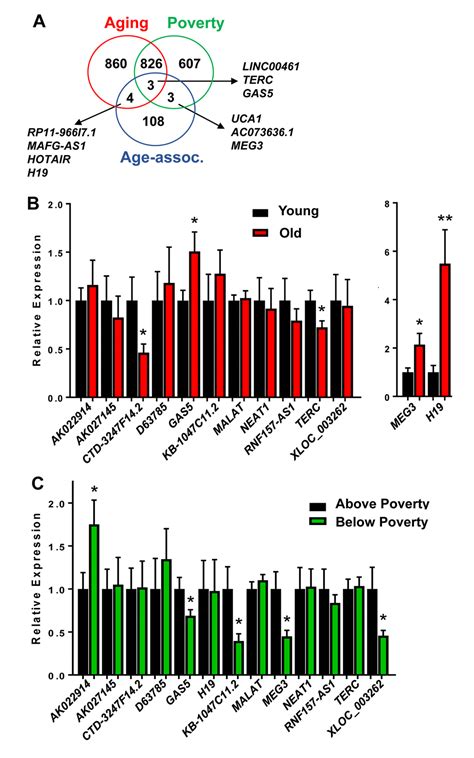 Age And Poverty Status Alter The Coding And Noncoding Transcriptome