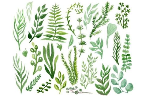 Stem Clip Art New Year New Spotlight On Stem Gps News