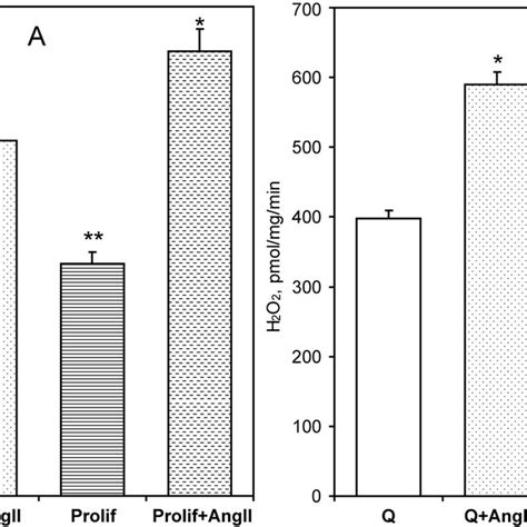 Stimulation Of Nadph Oxidase Activity In Quiescent Q Or Proliferating Download Scientific
