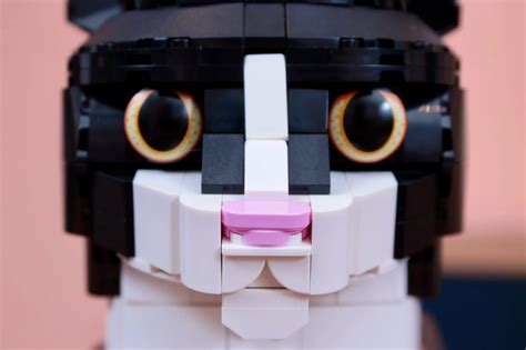 Lego Ideas 21349 Tuxedo Cat Review The Purr Fect Set