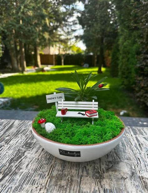Xl Tuintjes Voor Vader S I Handgemaakte Persoonlijke Miniatuurtuinen Flower T Bol