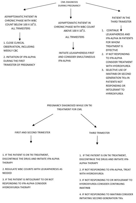 Algorithm For Chronic Myelogenous Leukemia Treatment During Pregnancy