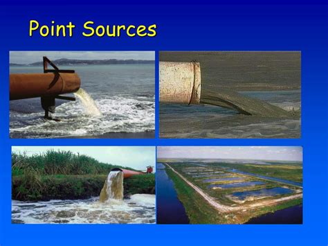 Ppt Eutrophication 2 Causes Of Eutrophication Powerpoint Presentation