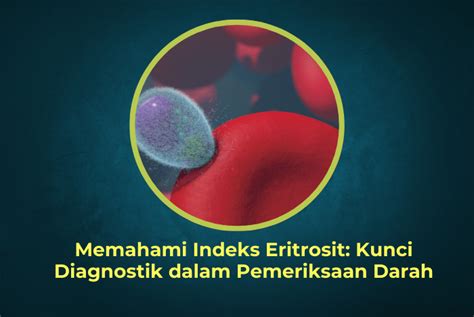 Memahami Indeks Eritrosit Kunci Diagnostik Dalam Pemeriksaan Darah