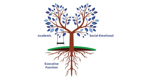 Improving Executive Function Skills Reflection Sciences