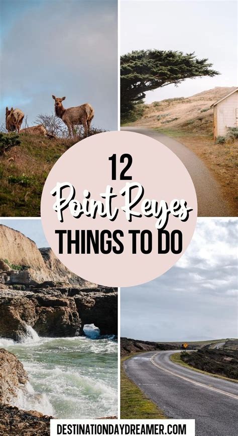 The Best Places To Visit In The Point Reyes National Seashore Artofit