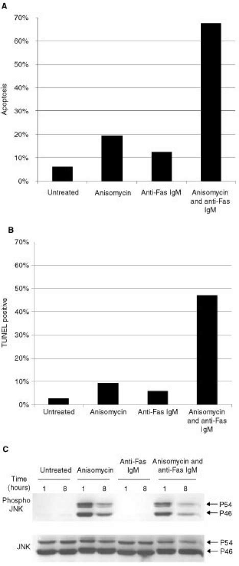 Anisomycin Sensitised The Androgen Independent Cell Line Du 145 To Fas