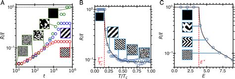 Formation Of Dissipative Structures In Microscopic Models Of Mixtures