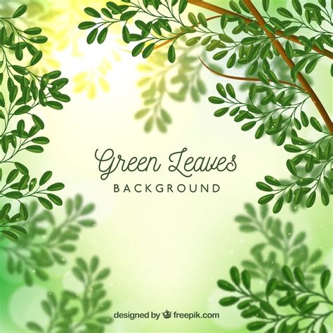 Free Vector Defocused Background Of Trees