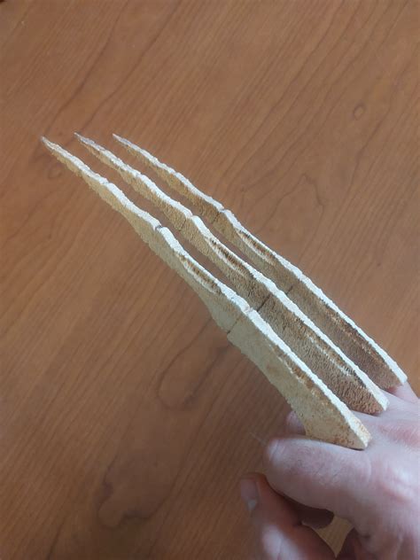 Bone Wolverine Claws Costume Prop Wulfgar Props