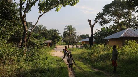 The Bold Plan To Save Africas Largest Forest Bbc Future