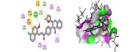 2d And 3d Interactions Of Designed Compound 3 With The Active Site Of