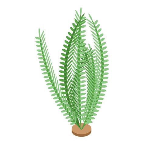 74 Phytoplankton Vector Images Depositphotos