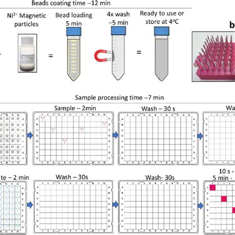 Performance Of The Assay In Different Formats Download Scientific