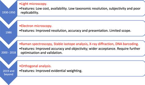 Flowchart Showing The Timeline For The Development Of Analytical Download Scientific Diagram