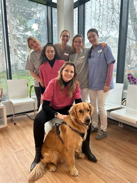 Magmedvet Claudia Lecher Ihr Tierarzt In Wien Go4vet