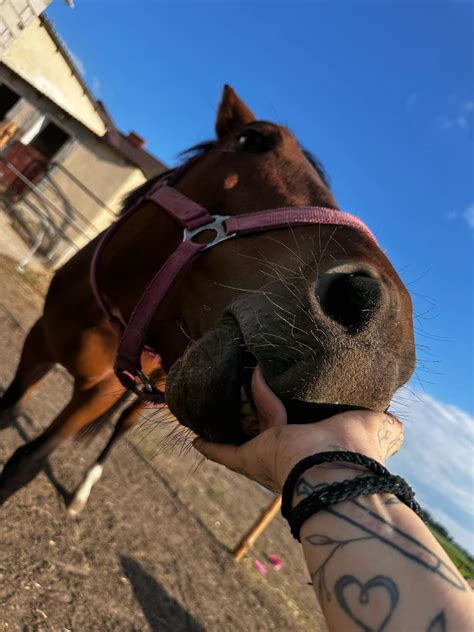 Lvsiq Lvsiaso On Threads