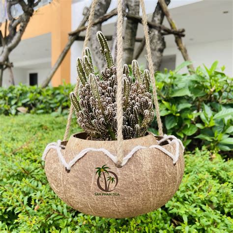 Coco Eco Coconut Shell Flower Pots Handmade And Durable