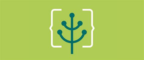 Featured Org Of The Month Green Software Foundation Dev Community