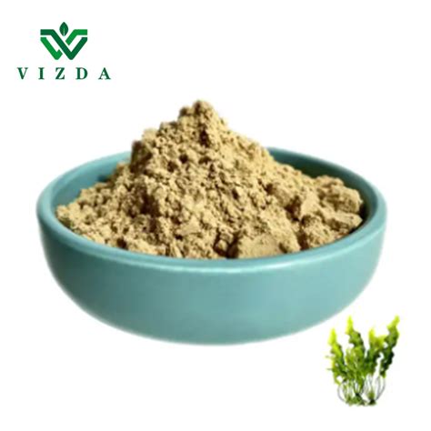 Pure Brown Seaweed Extract For Agriculture 2026 Seaweed Extract Prill