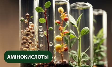 Купить экстракты оптом в Украине на сайте Extracty.com.ua
