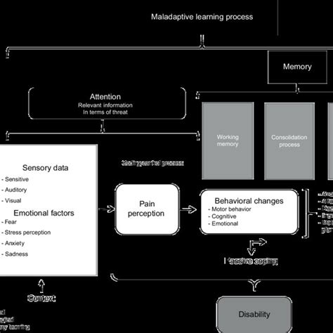 The Four Dimensions Of The Biobehavioral Model Of Pain Perception And